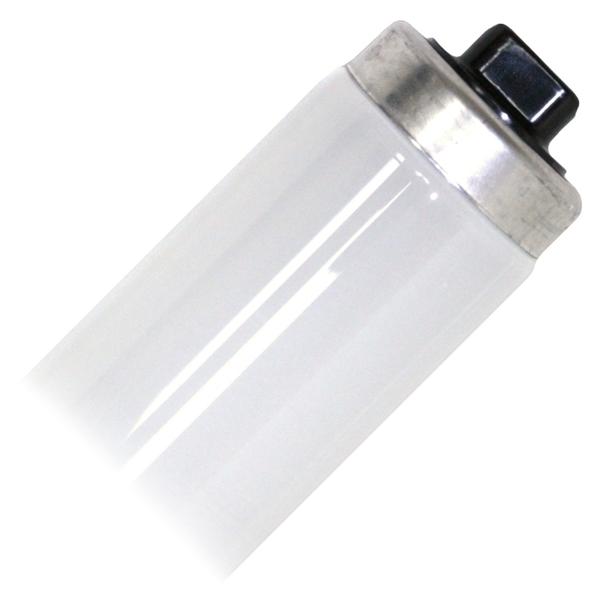 Baker VBM600 Fluorescent Bulb – BSCBulbs.com